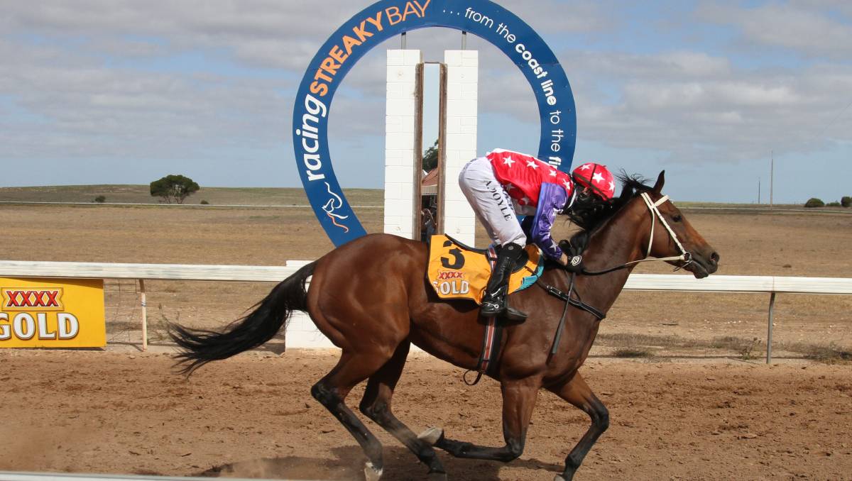 Streaky Bay in South Australia - The Gambling Clinic